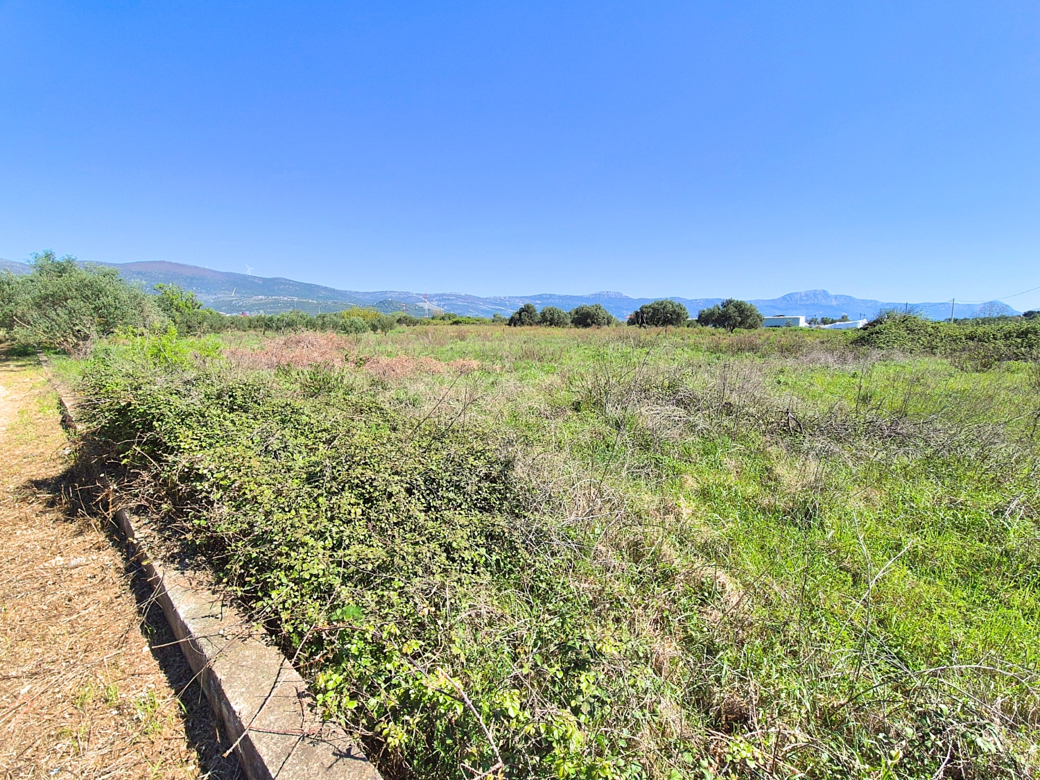 Divulje, excellent land for commercial activities, 2000 m2 – Aladdin ...